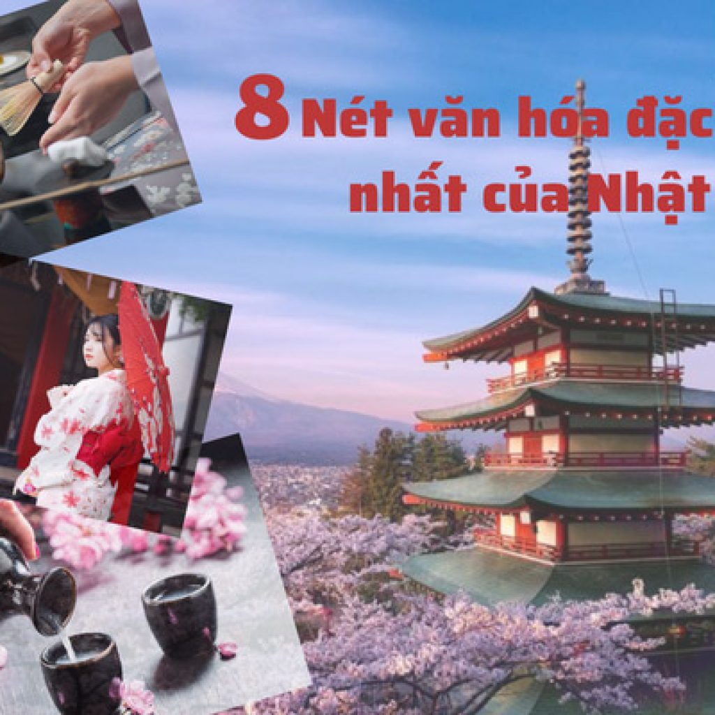 Lễ hội hoa anh đào Hanami Nhật Bản có gì đặc biệt?