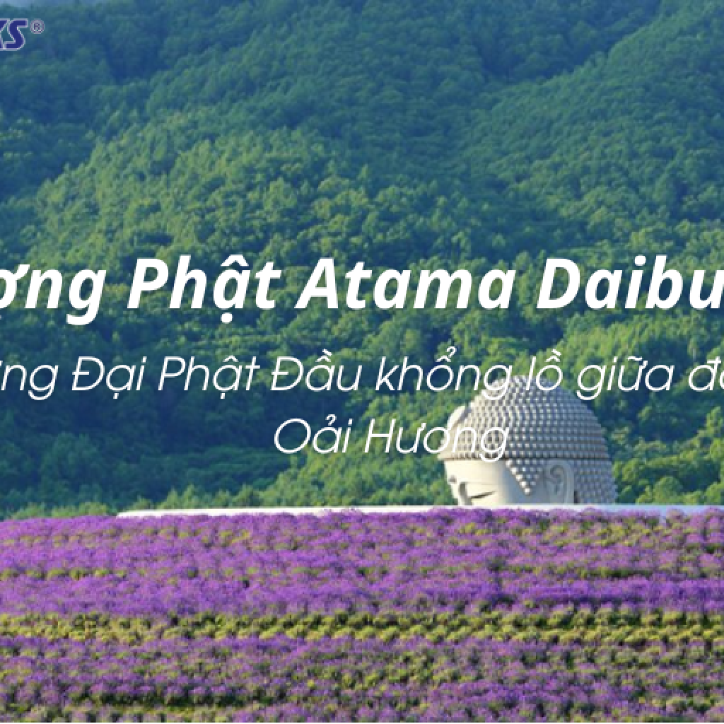 Cổng trời Nhật Bản: Ý nghĩa của cổng Torii trong văn hóa Nhật